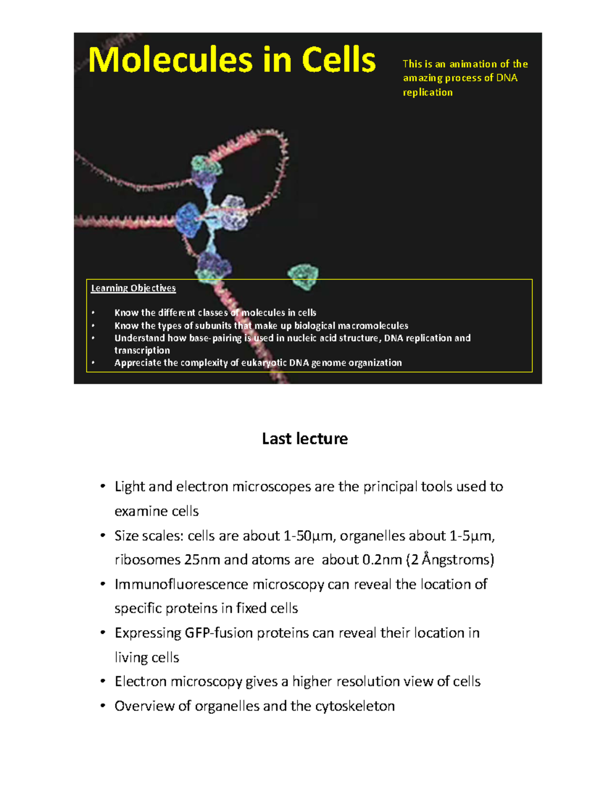 Lecture 3, 2021. Molecules in Cells - Molecules in Cells This is an ...