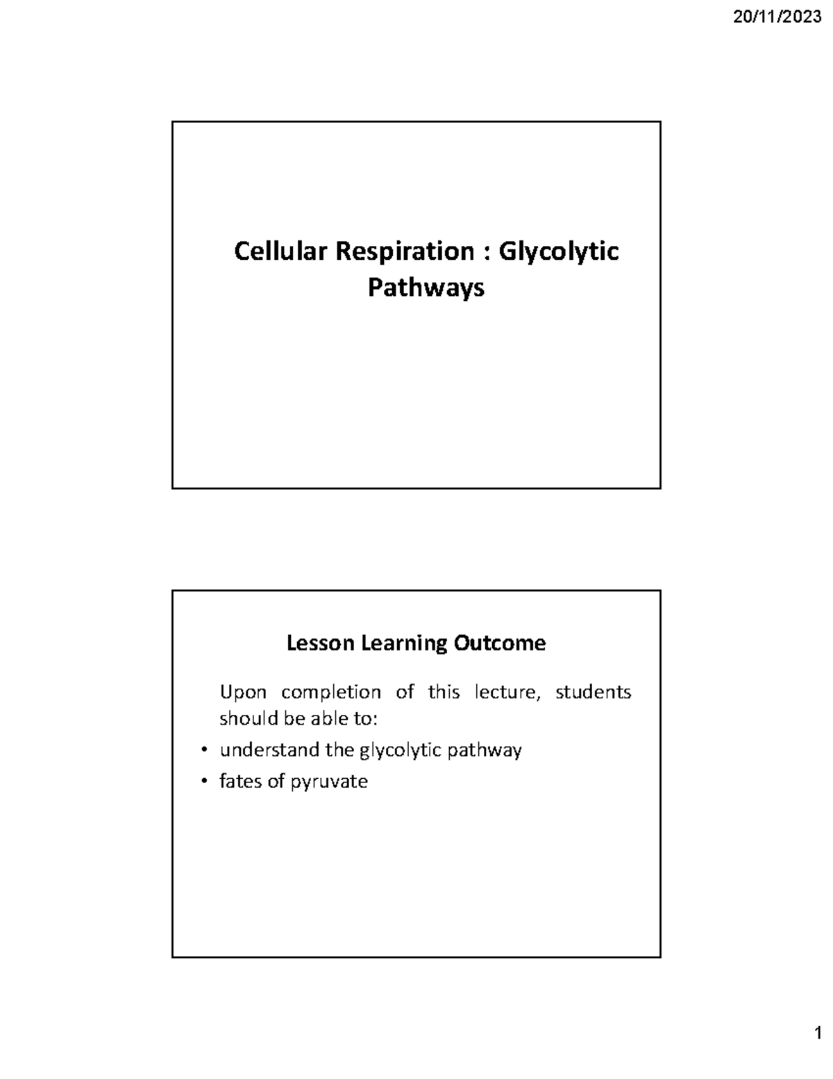 Glycolysis title - Cellular Respiration : Glycolytic Pathways Lesson ...