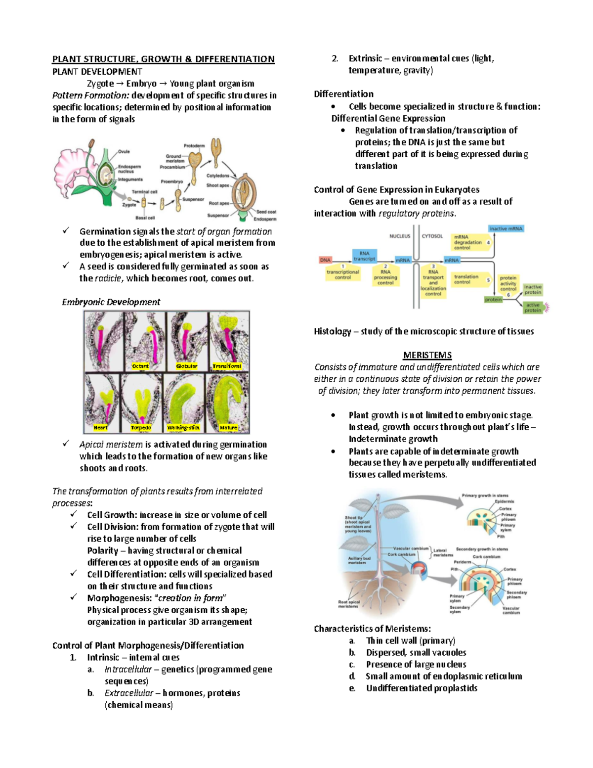 Botany - PLANT STRUCTURE, GROWTH & DIFFERENTIATION PLANT DEVELOPMENT ...