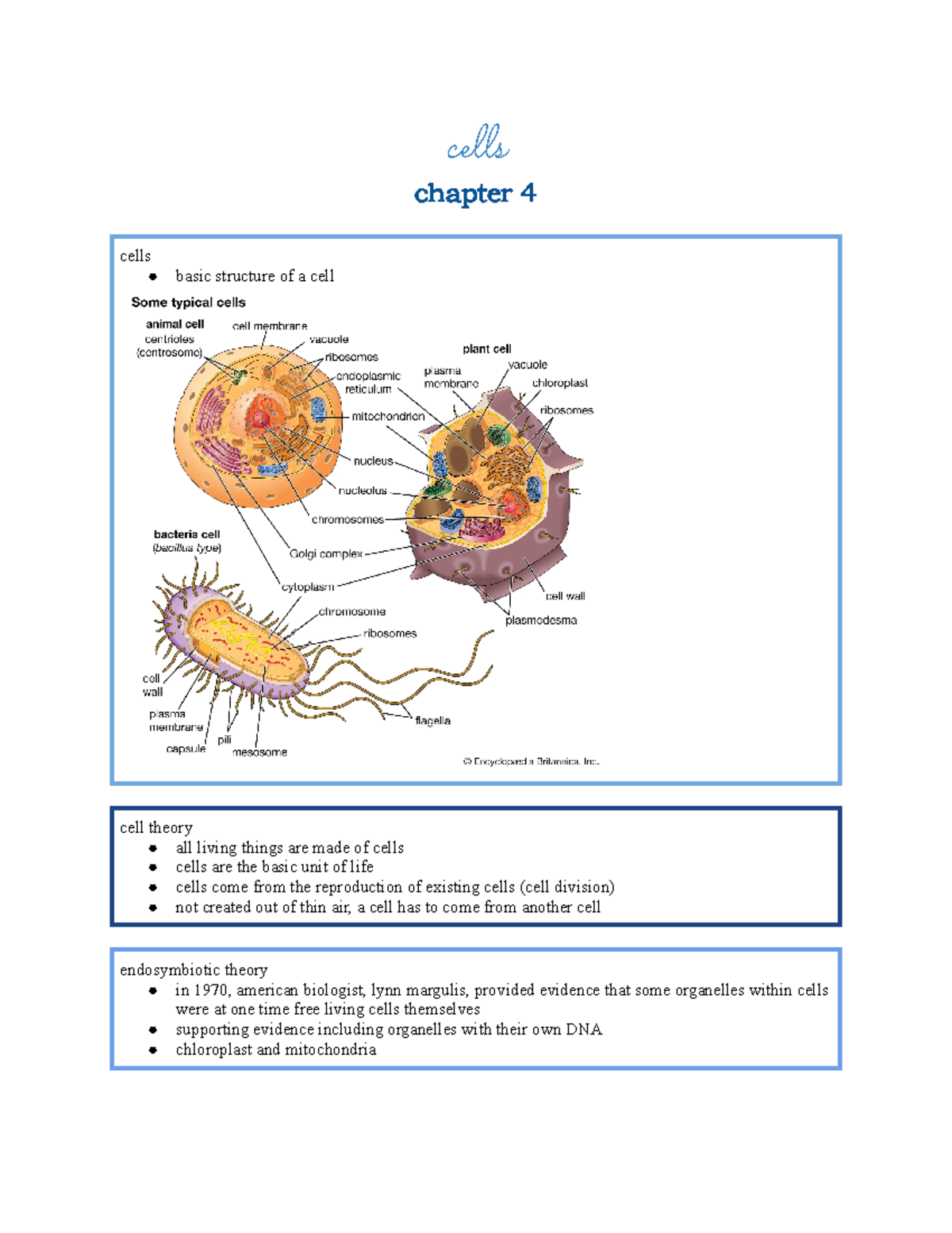 Cells notes - cells chapter 4 cells basic structure of a cell cell ...