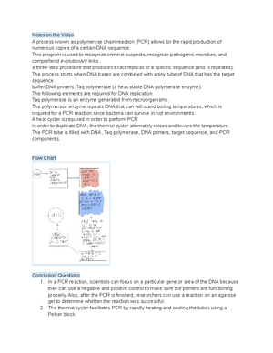 Case 5-1- Creating and using QR codes Analysis - Case 5-1- Creating and using QR codes Analysis ...