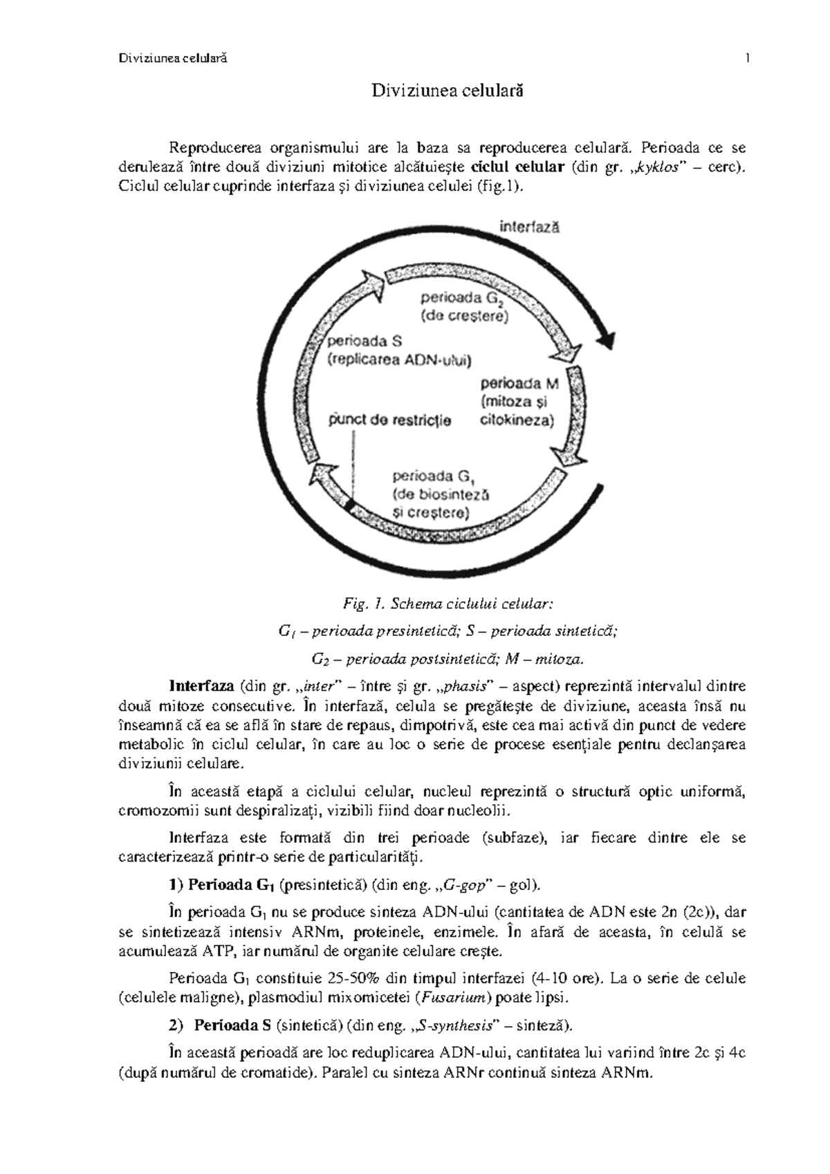 Diviziunea celulara - Note de curs 2 - Diviziunea celulară Reproducerea ...