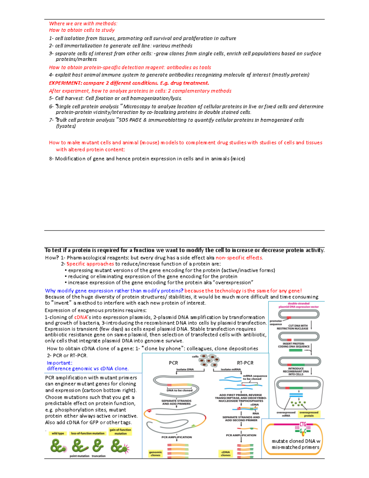11-Gene manipulation in cells - Where we are with methods: How to ...