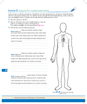 Unit 16 Pre-Lab Exercise 16-3 kj - Endocrine System n UNIT 16 n 423 16 ...