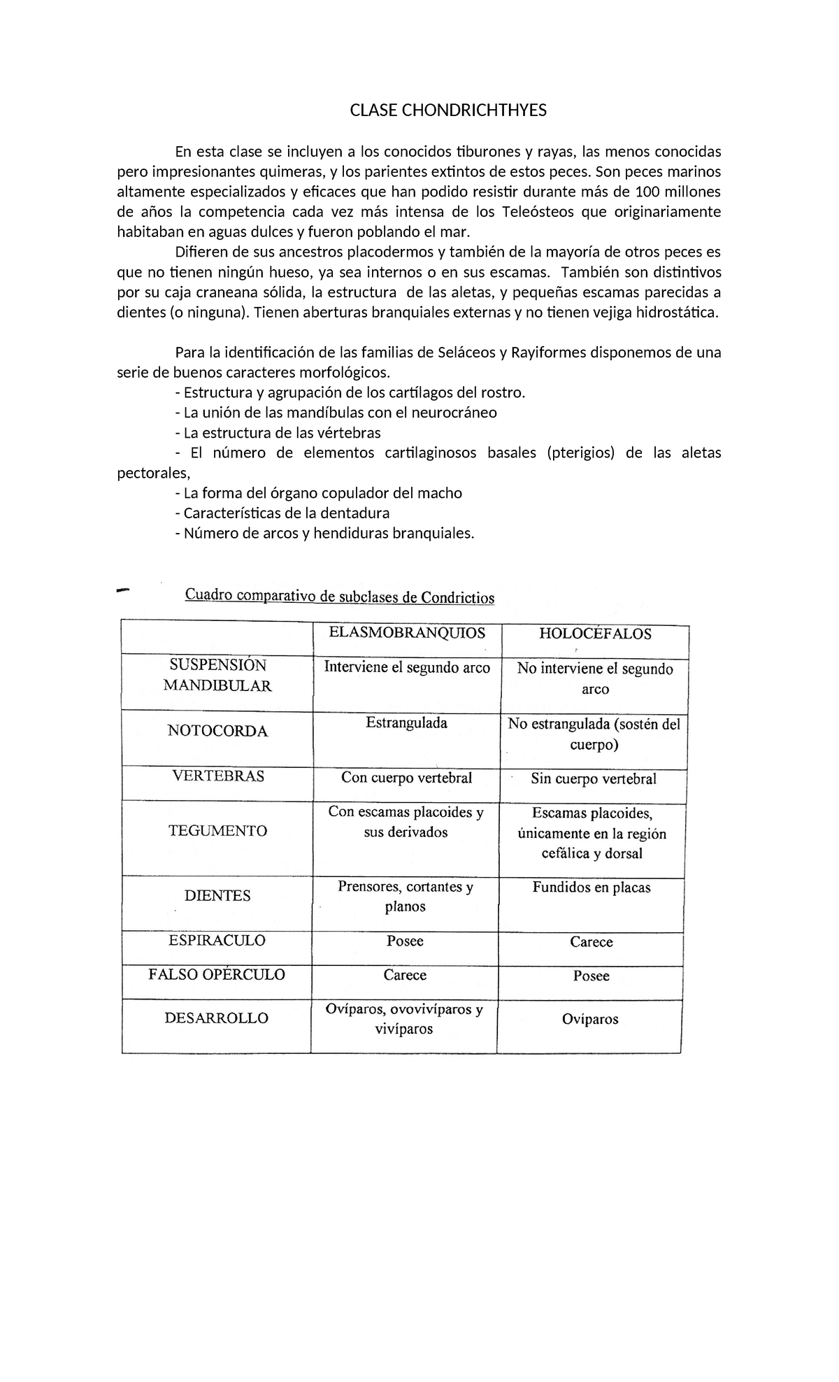 Taxonomia de Condrictios y Osteictios CON Imagenes - CLASE ...