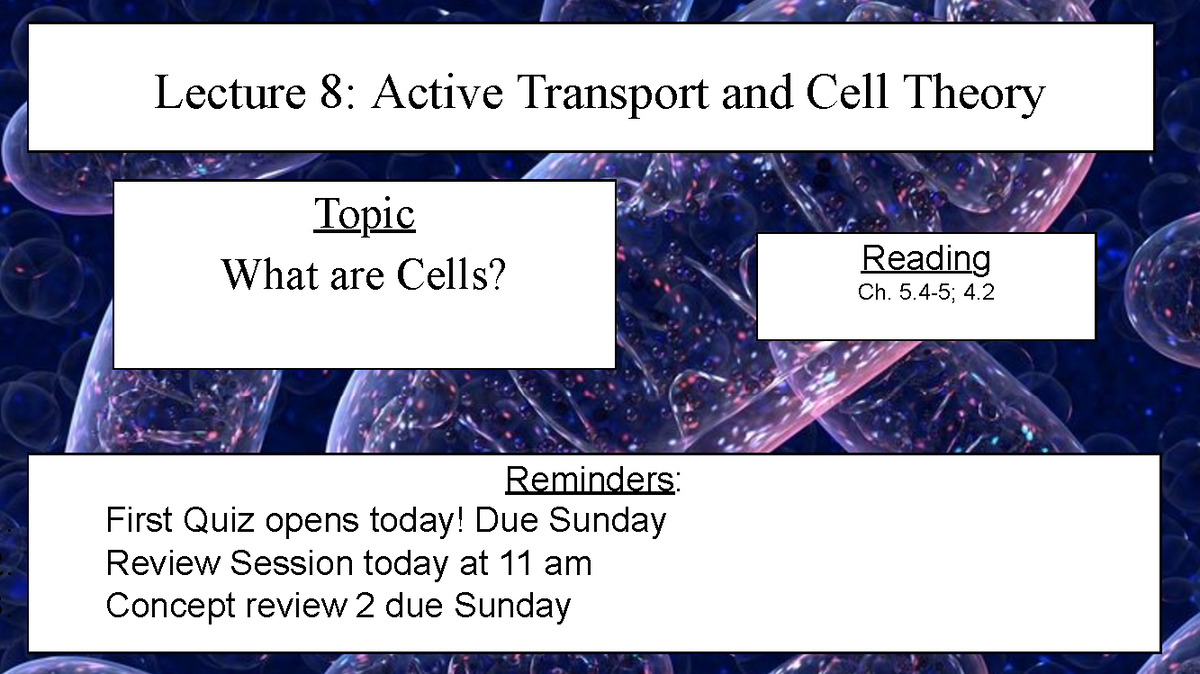 Bi221 Lecture-8 transport-and-introcells skeleton - Lecture 8: Active ...