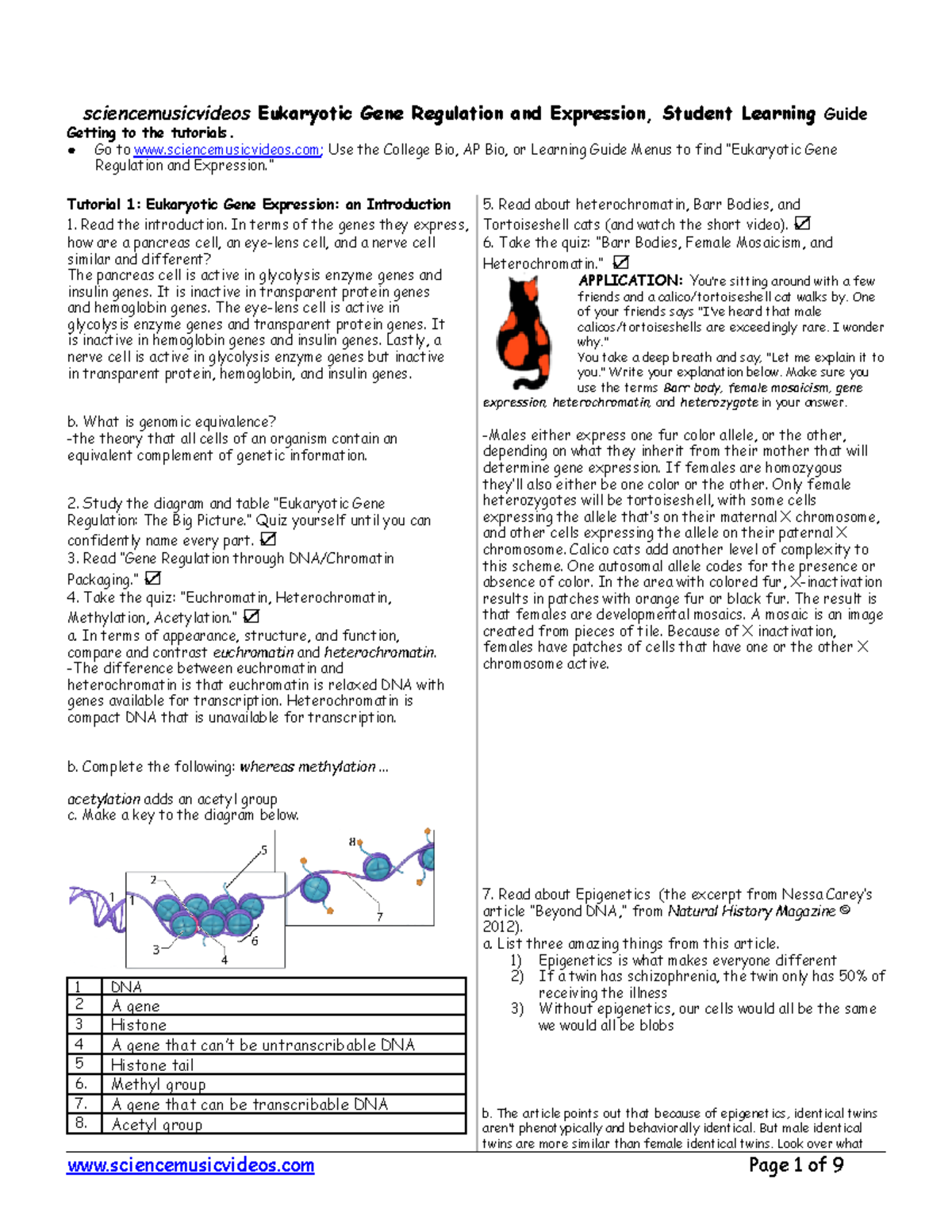 AP Biology- Eukaryotic Gene Regulation and Expression, student learning ...
