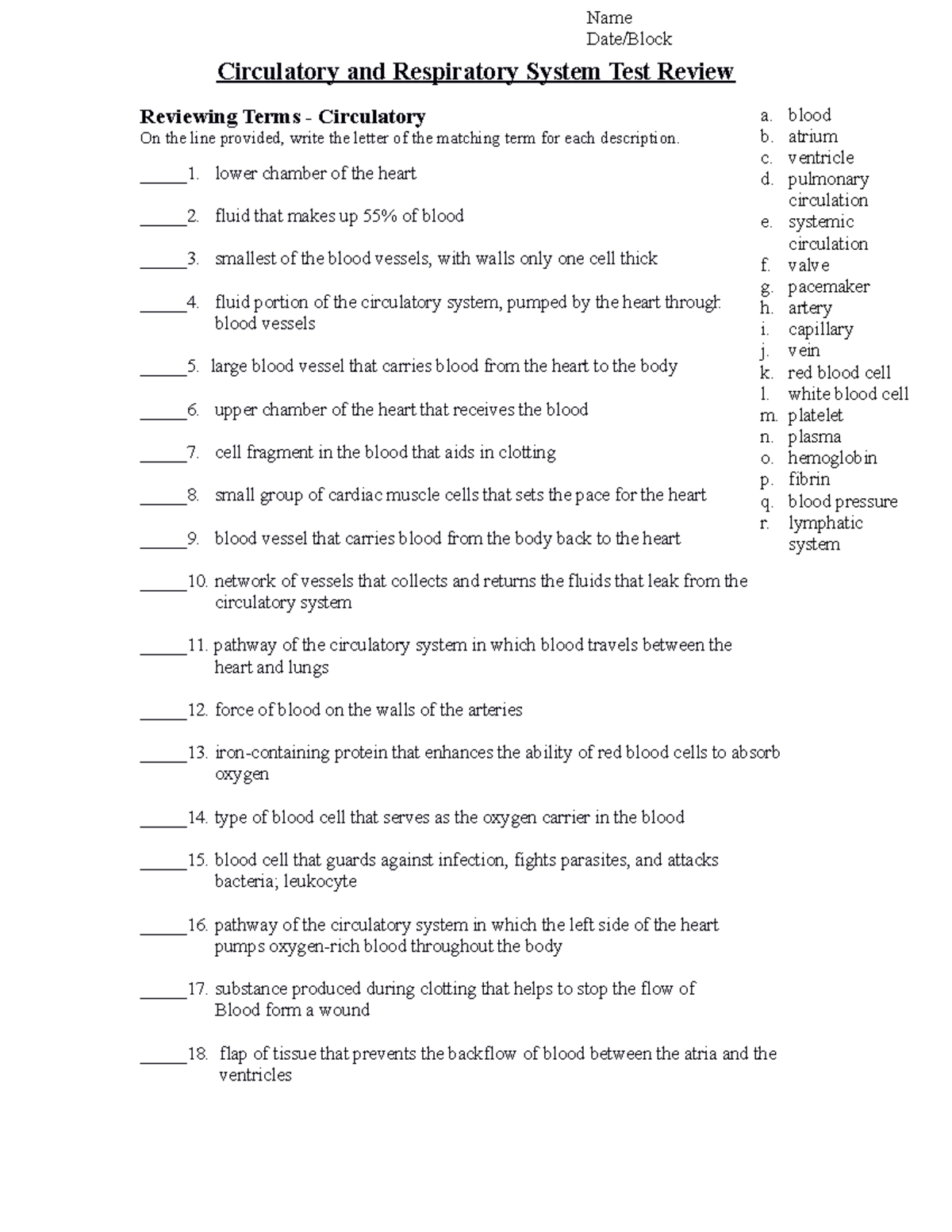 Circulatory and respiratory review - Circulatory and Respiratory System ...