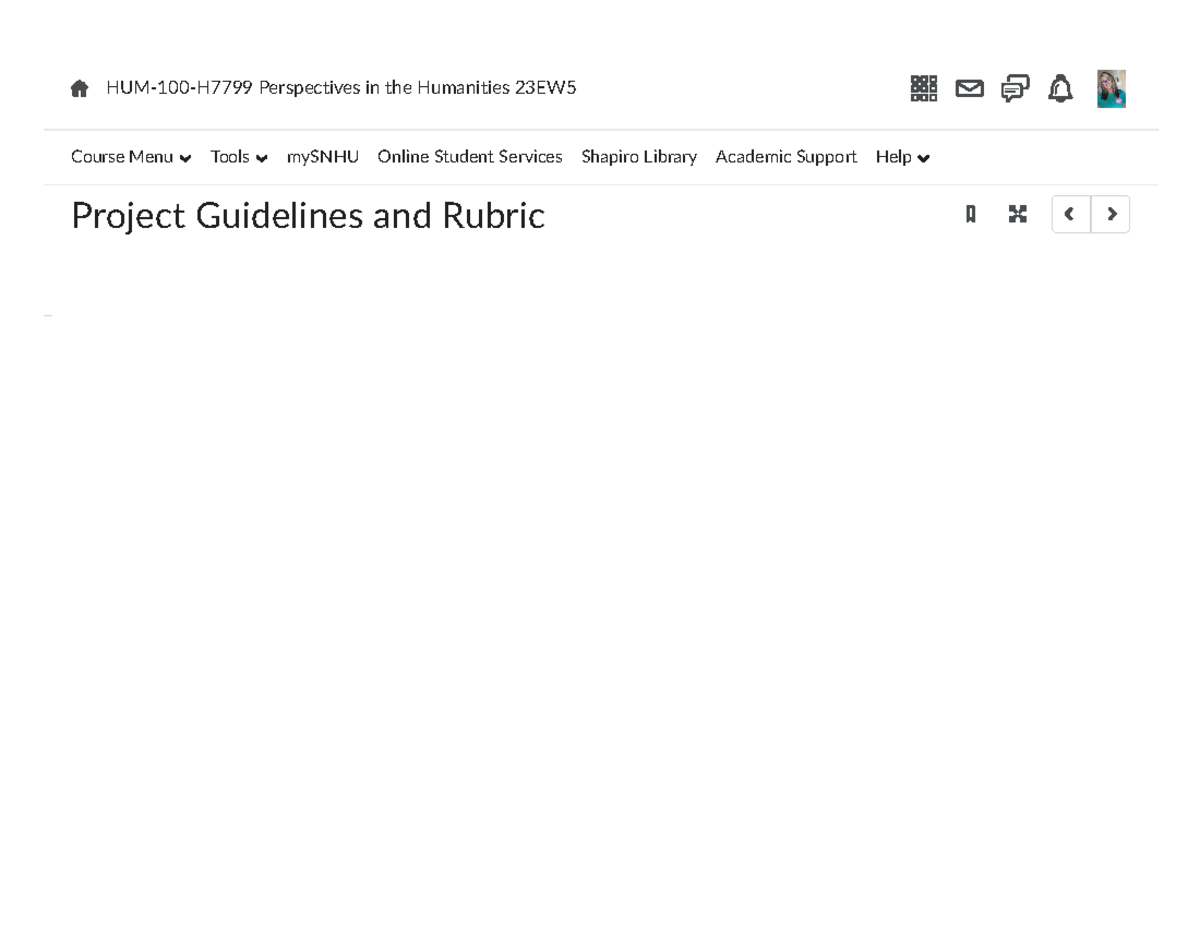 Project Guidelines and Rubric - HUM-100-H7799 Perspectives in the Humanities 23EW5 - Project ...