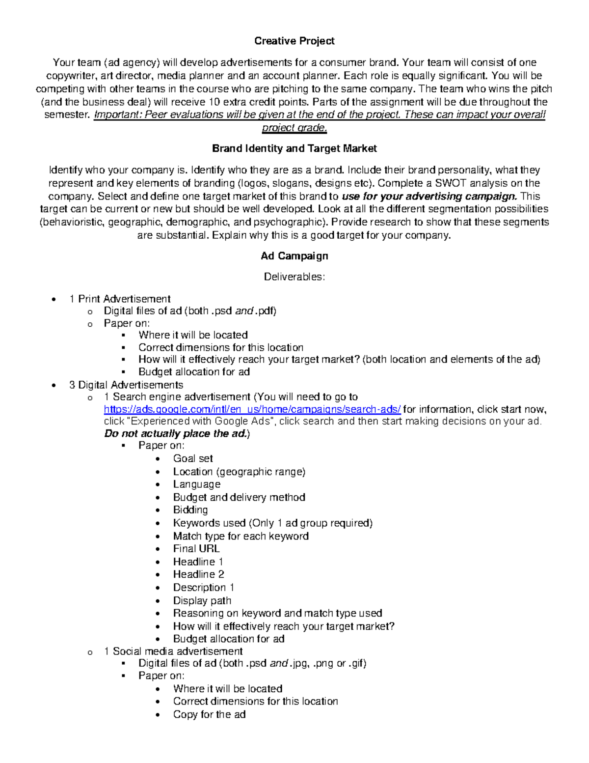 Ad Projects Instructions - Creative Project Your team (ad agency) will ...