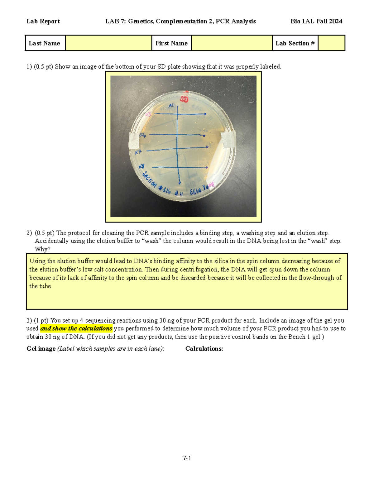 Bio 1AL Lab 7 - Genetics, Complementation 2, PCR Analysis Report - Last Name First Name Lab ...