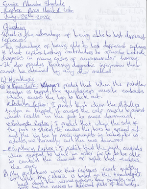 Human-Cheek-Cell diagram - Human Cheek Cell Station To view cheek cells ...
