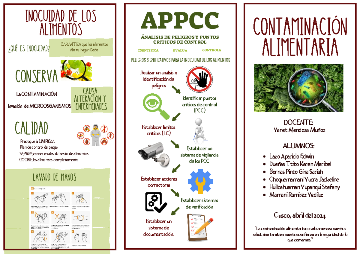 Triptico Salud Ambiental 240505 184337 - INOCUIDAD DE LOS ALIMENTOS ...