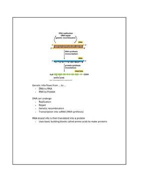 LSCI 202 Chapter 4 Part 1 - Lsci 202 - Studocu