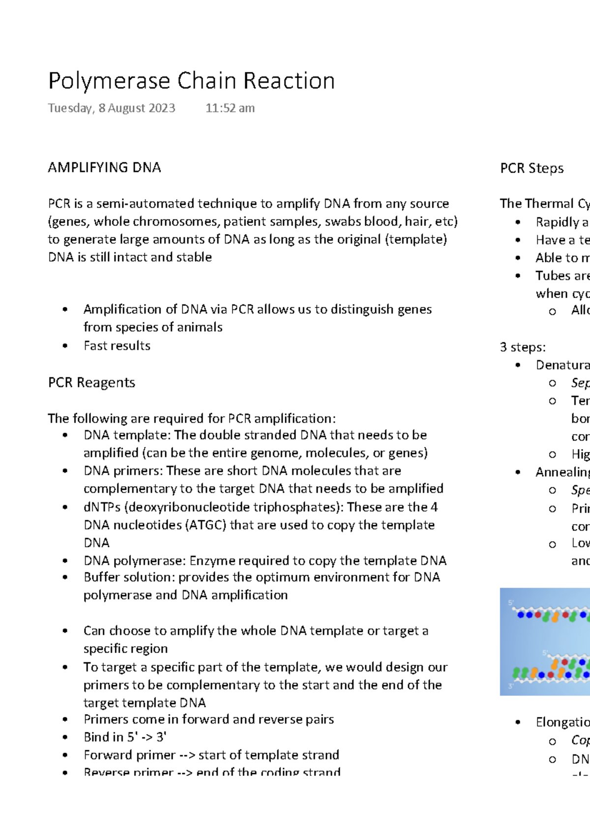Polymerase Chain Reaction - AMPLIFYING DNA PCR is a semi-automated ...