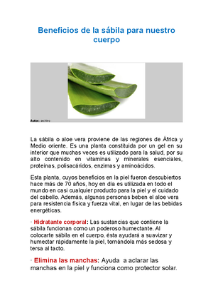 Theories of Language Change - Table - ANALYSIS/EVALUATION OF THEORIES ...