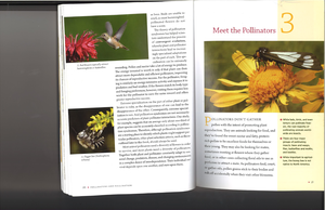 The evolutionary impact of invasive species - ECON 1030 - Studocu