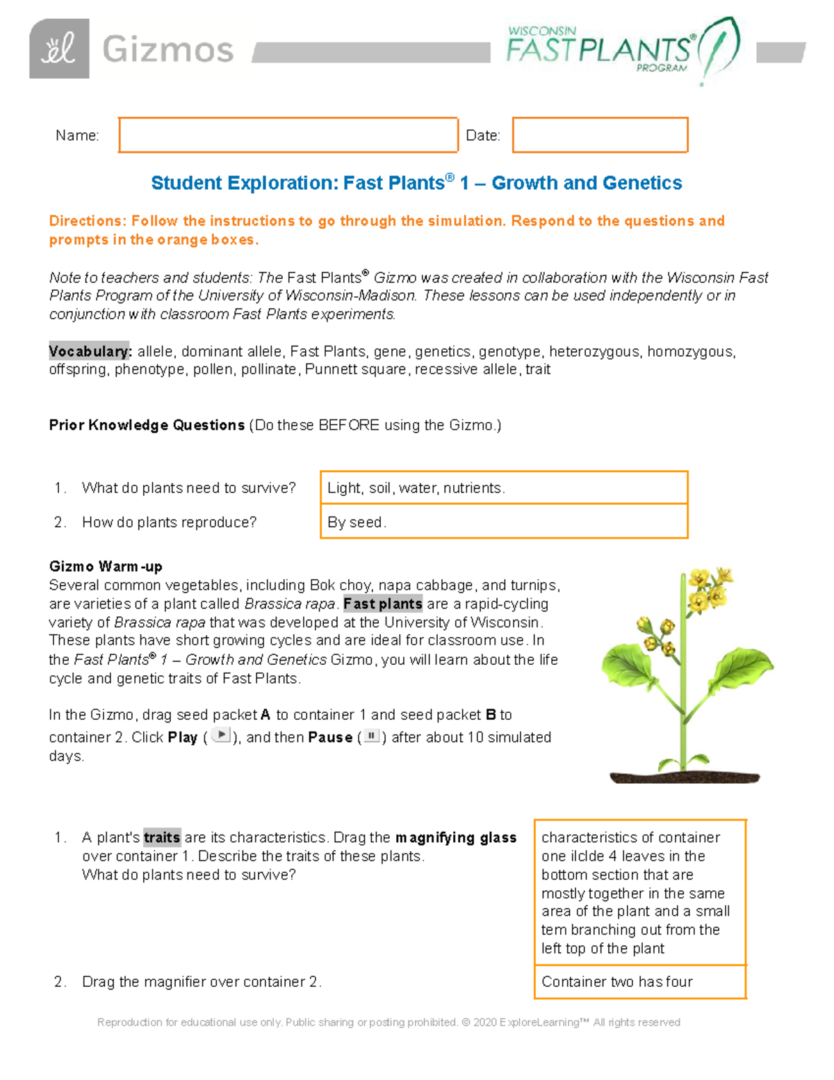 Copy of Gizmos Fast Plants - Name: Date: Student Exploration: Fast ...