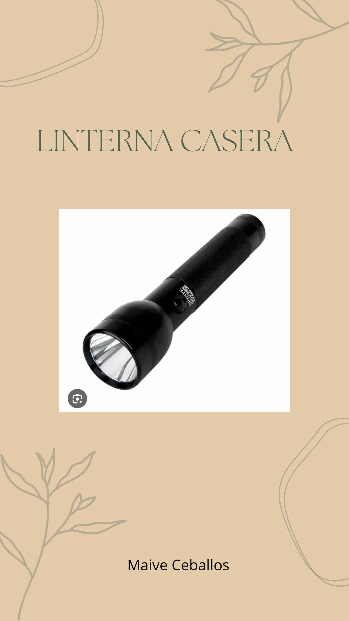 Linterna Casera 20241009 202355 0000 - LINTERNA CASERA c. Moist hl ...