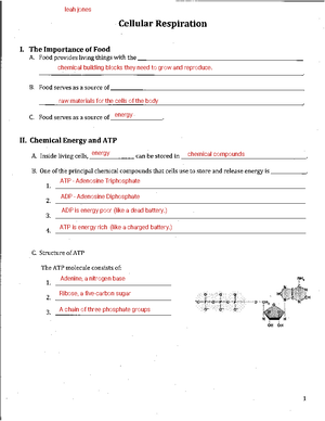 PDF RN12 CET Reading Comp Patterns of Idea Development - Patterns of ...