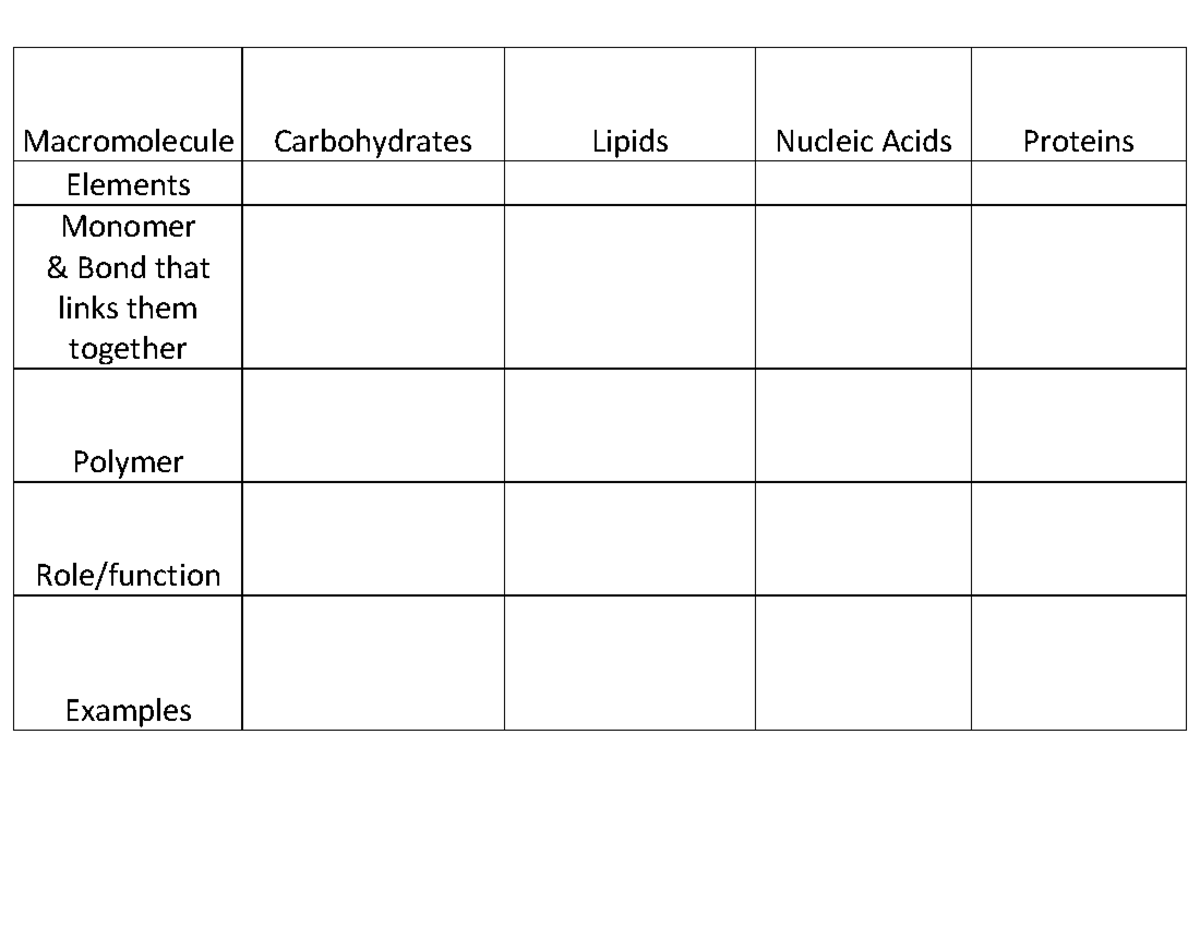 Macromolecule Chart - BIOL 140 - Macromolecule Carbohydrates Lipids ...