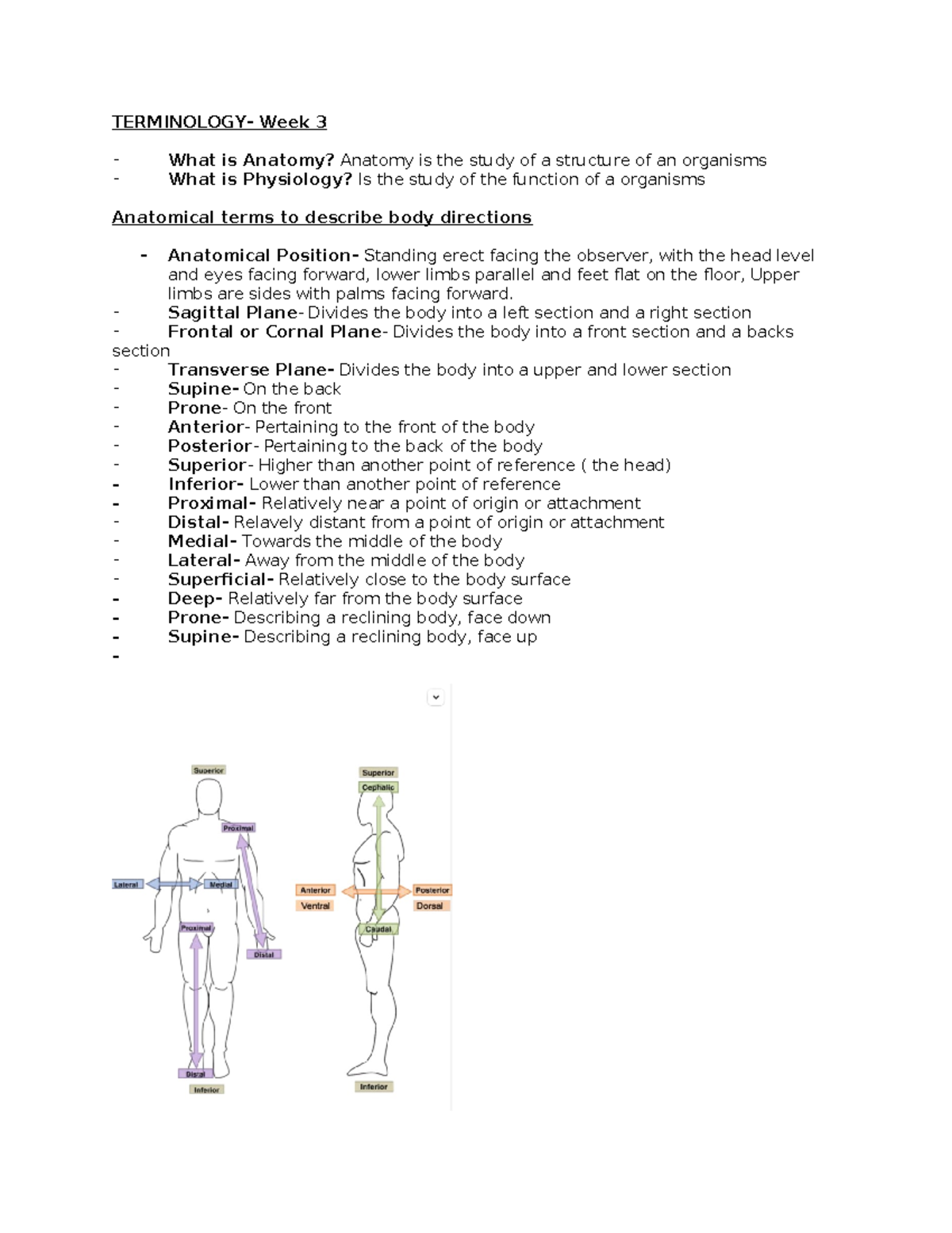 Endocrine + Cells revison sheet - TERMINOLOGY- Week 3 ⁃ What is Anatomy ...