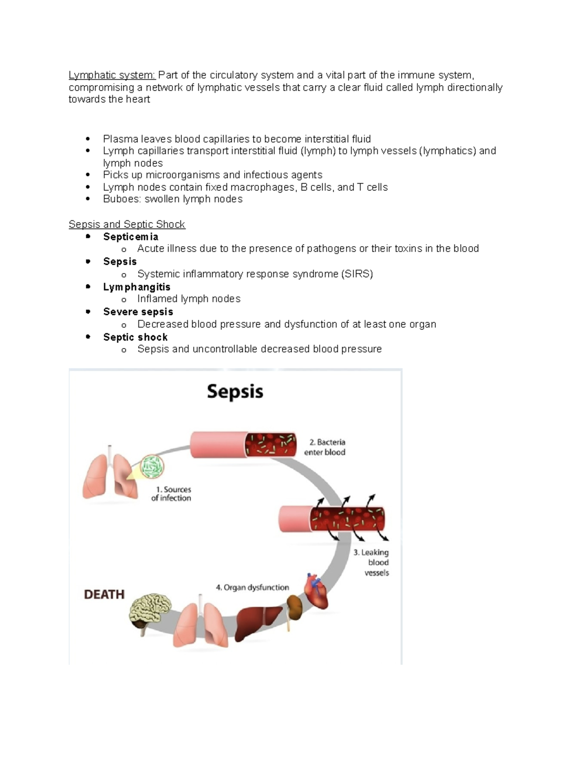 Lymphatic System - Studocu