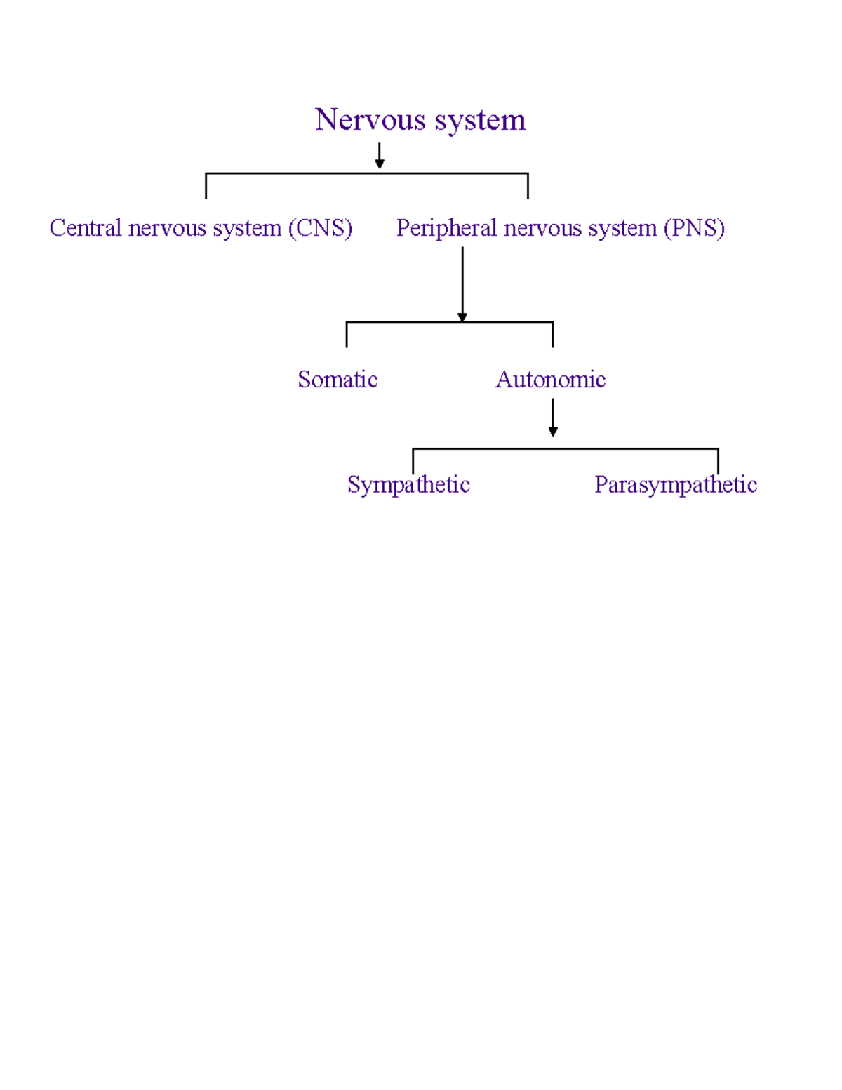 Neuroanatomy 2018 - Summary Psychophysiology: Human Behavior and ...