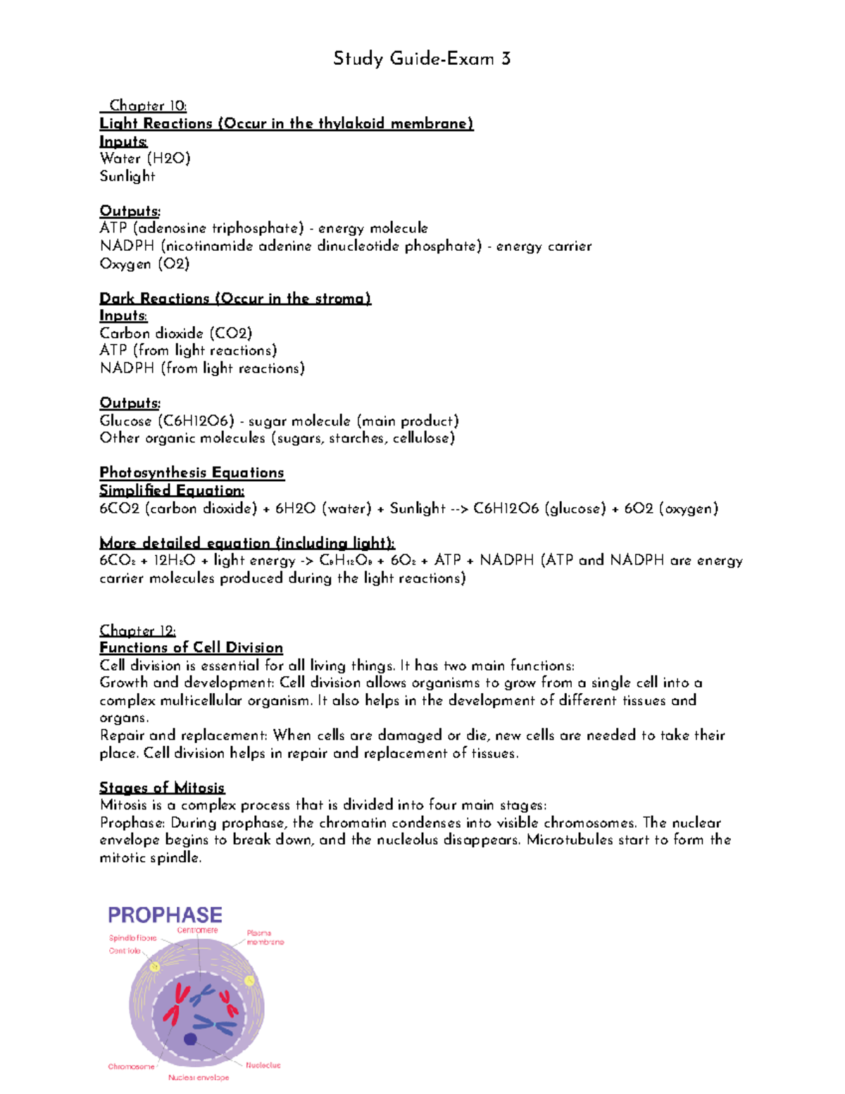 Study Guide - Chapter 10: Light Reactions (Occur in the thylakoid membrane) Inputs: Water (H2O ...