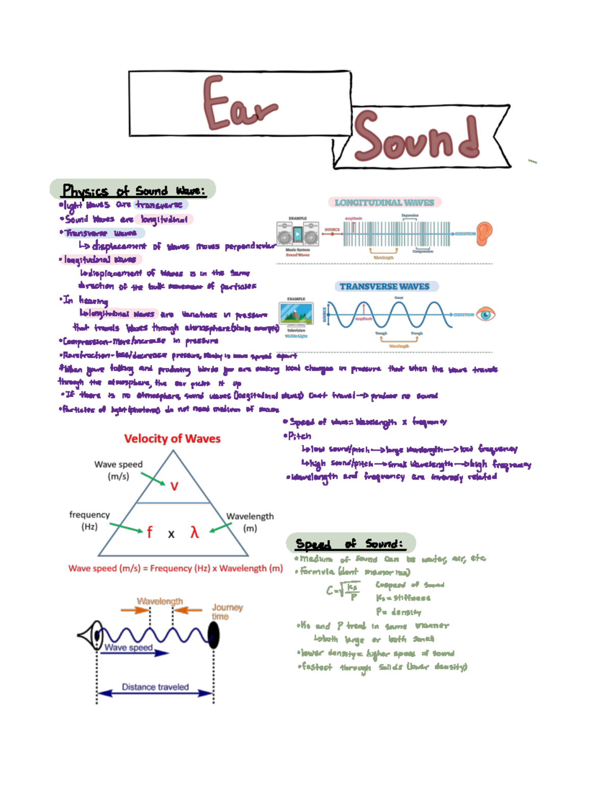 The Ear and Sound - Physics of Soundwave light waves aretransverse ...