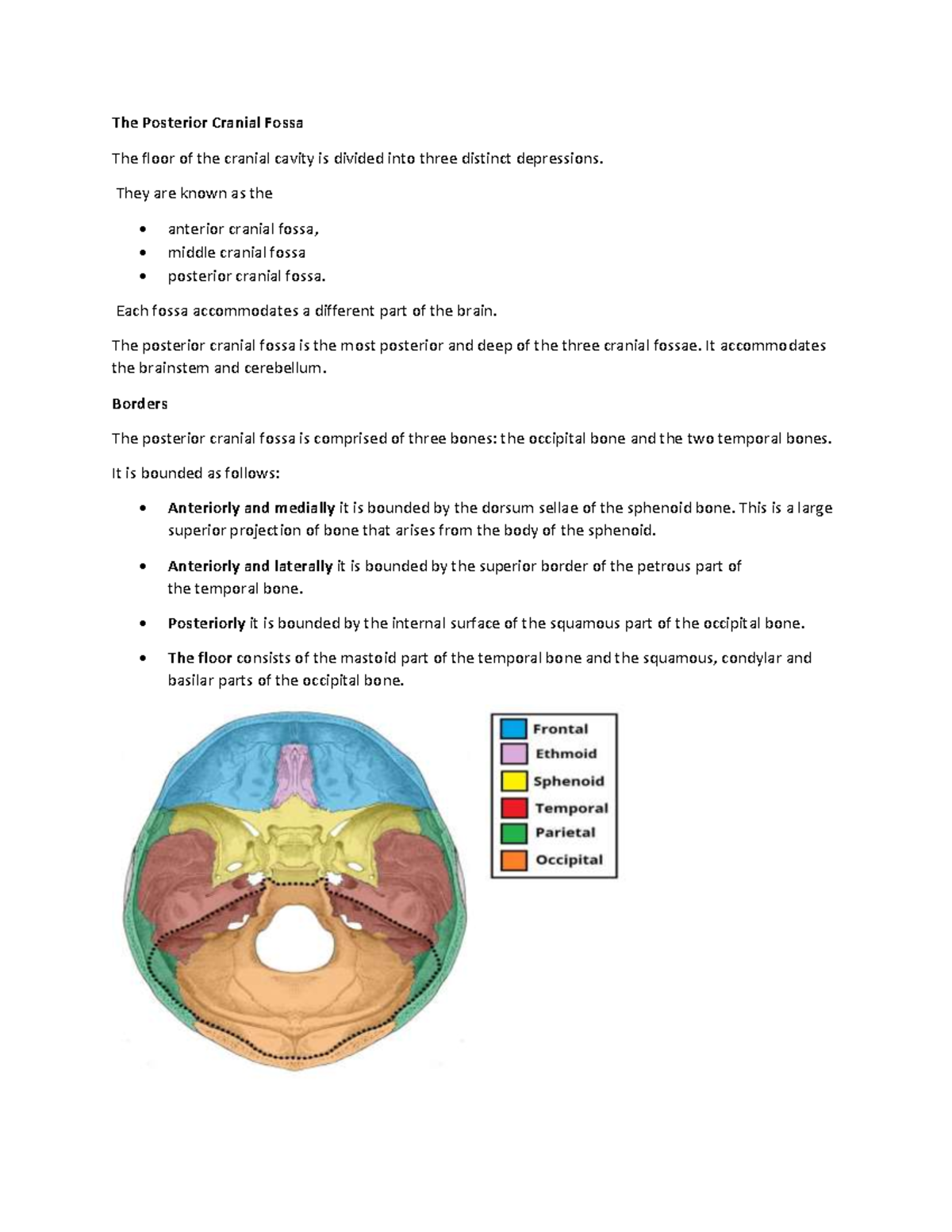 The Posterior Cranial Fossa Warning TT Undefined Function 32