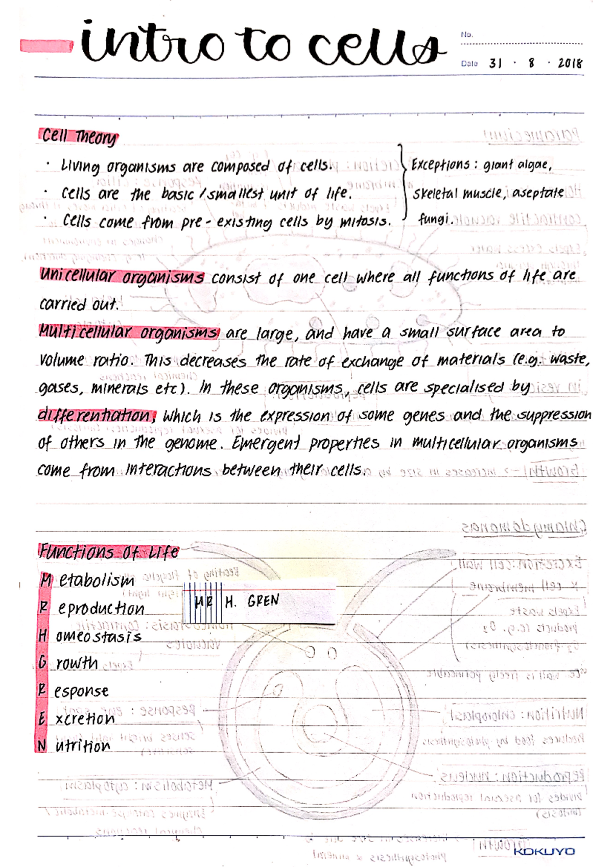 Topic 1 - Cell Biology - Studocu