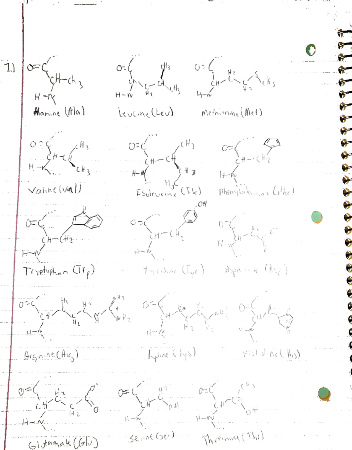 Biochem 451 homework 1 - Dr. Usher - CHE 451 - Studocu