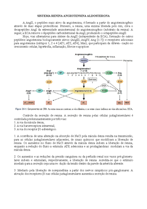 Anotações Aula 2 - Agentes inotrópicos, cronotrópicos e lusitrópicos ...