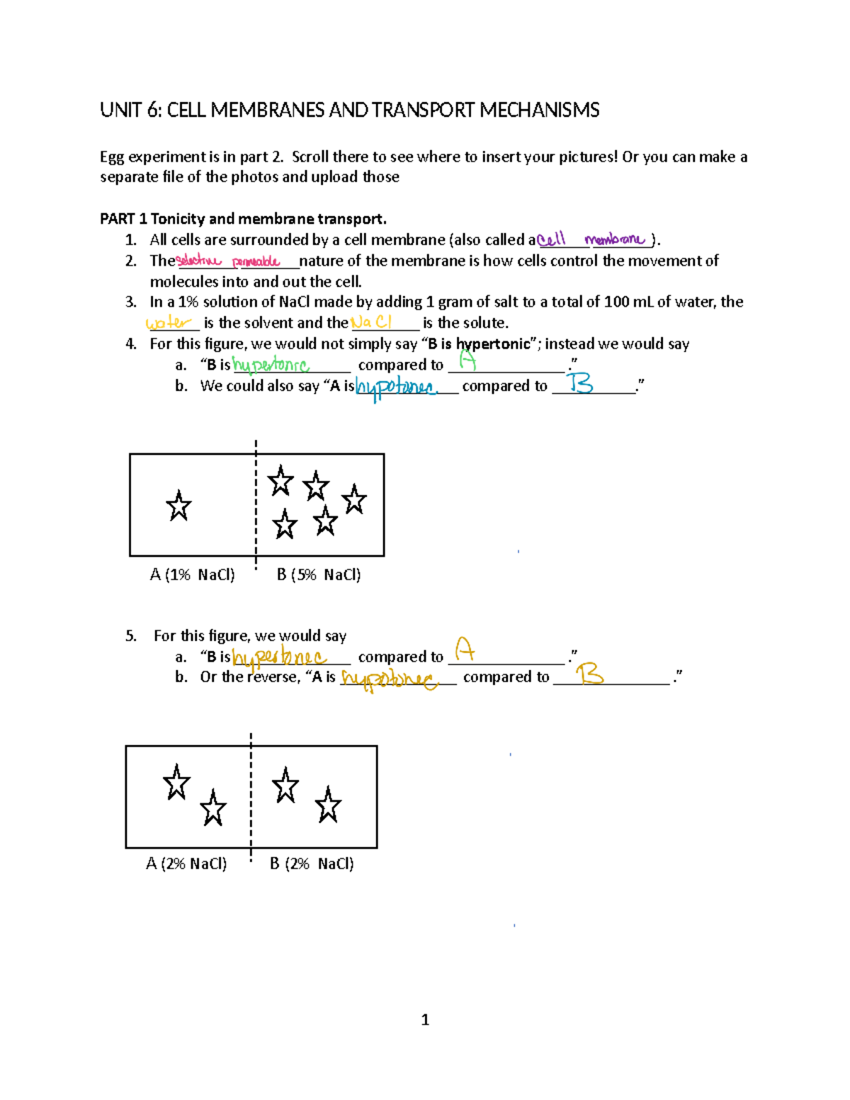 Bio 1140L Unit 6 Study Guide Daniela Diaz - UNIT 6: CELL MEMBRANES AND ...