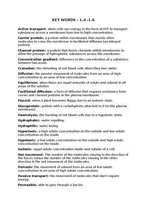 W4-Schrodinger Model Worksheet - ELECTRON CONFIGURATION – THE ...