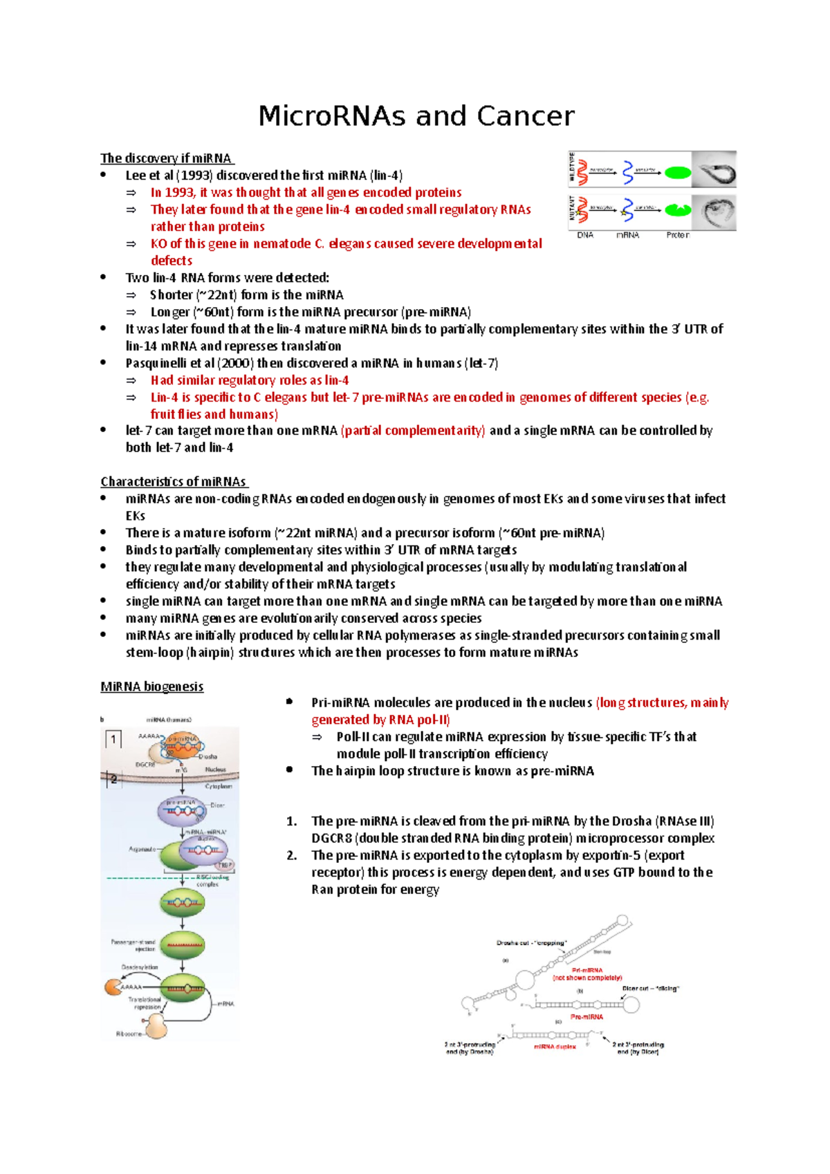 Micro RNAs and Cancer - Summary of lectures. Red text is anything the ...