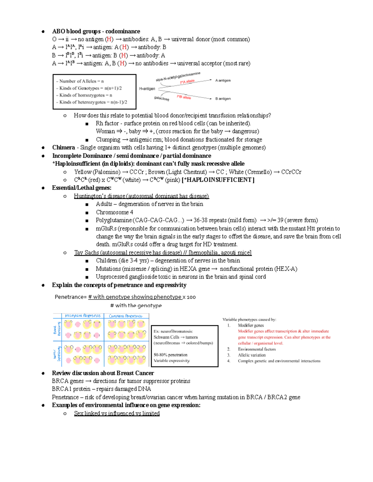 Bio Exam 4 Study Guide - ABO blood groups - codominance O → ii → no ...