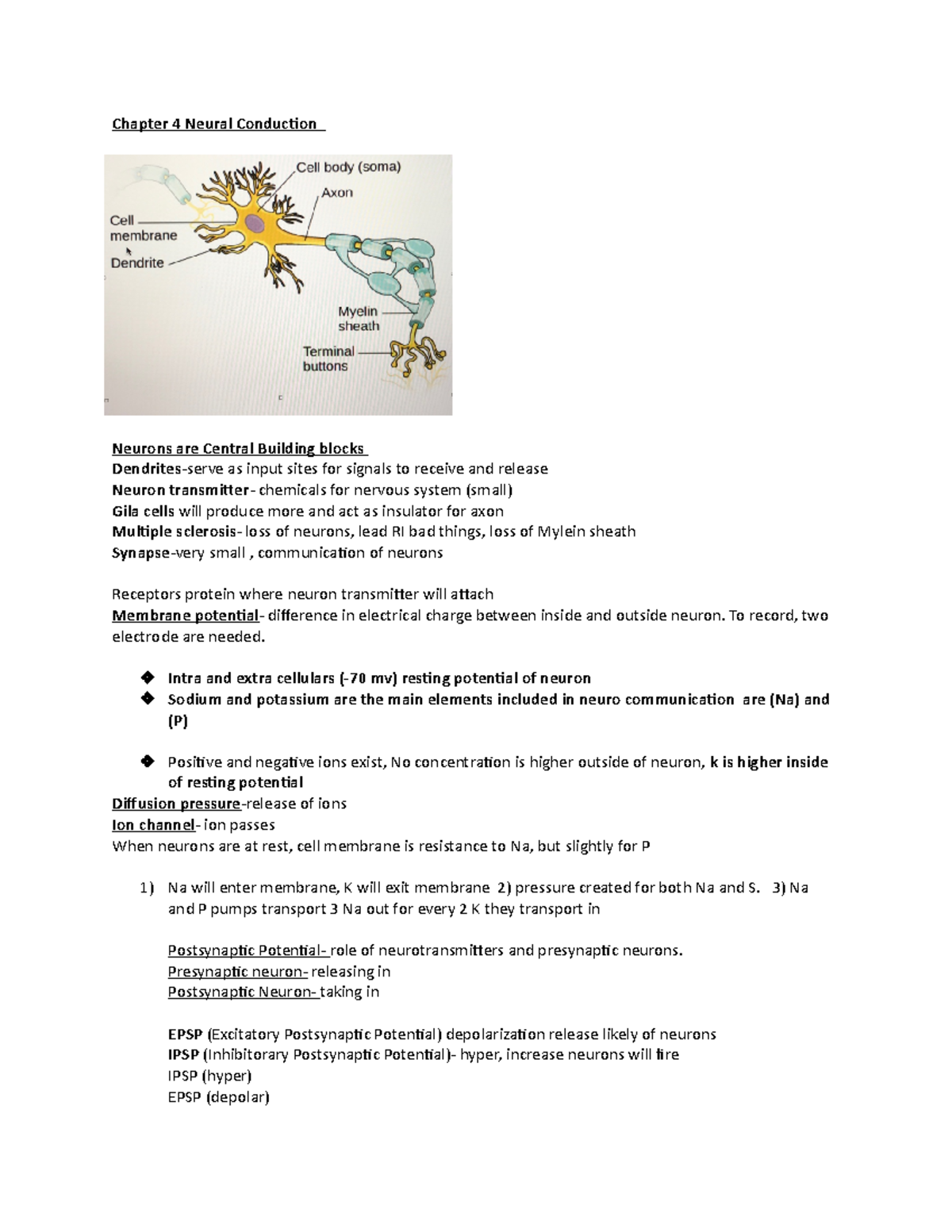 Chapter 4 Neural Communication - Chapter 4 Neural Conduction Neurons ...