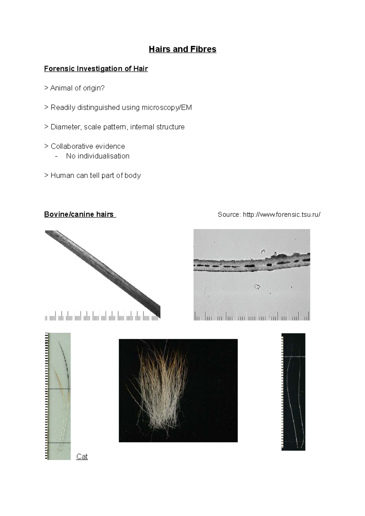 Hairs and Fibres - Hairs and Fibres Forensic Investigation of Hair ...