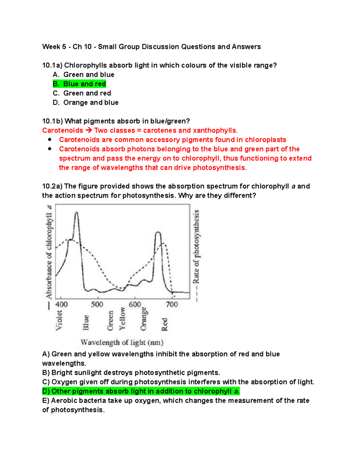 Ch 10 - Small Group Discussion Questions and Answers - Green and blue B ...