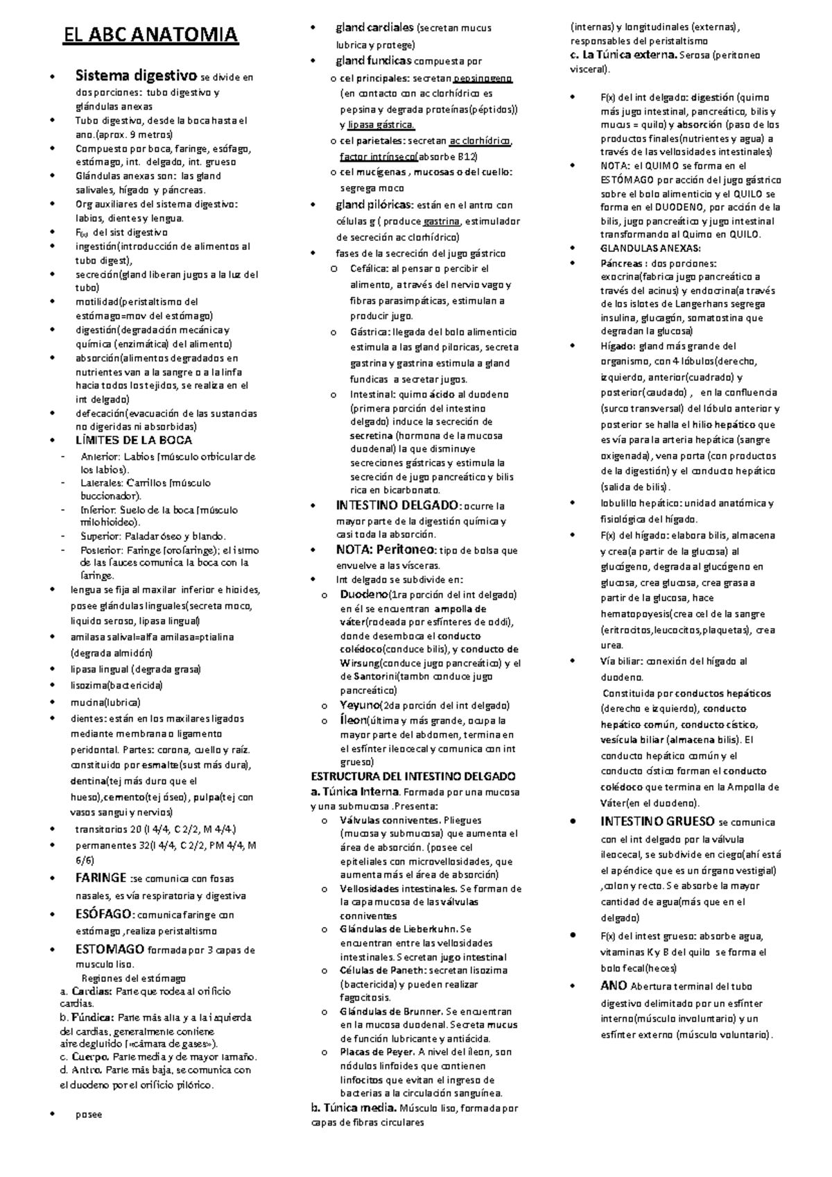 ABC anatomia-1 - Material de repaso - EL ABC ANATOMIA Sistema digestivo ...