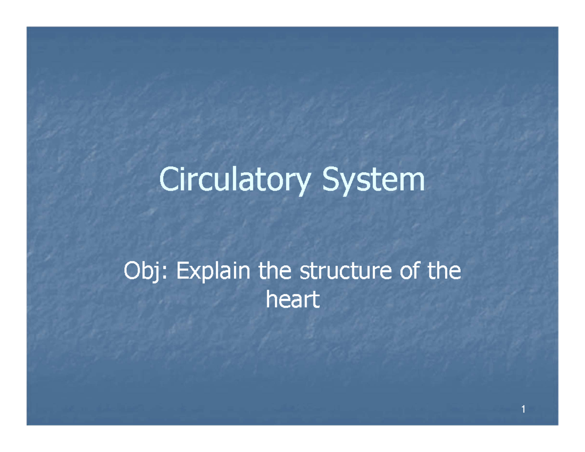 Circulatory System Structures Functions and Disorders - Circulatory ...