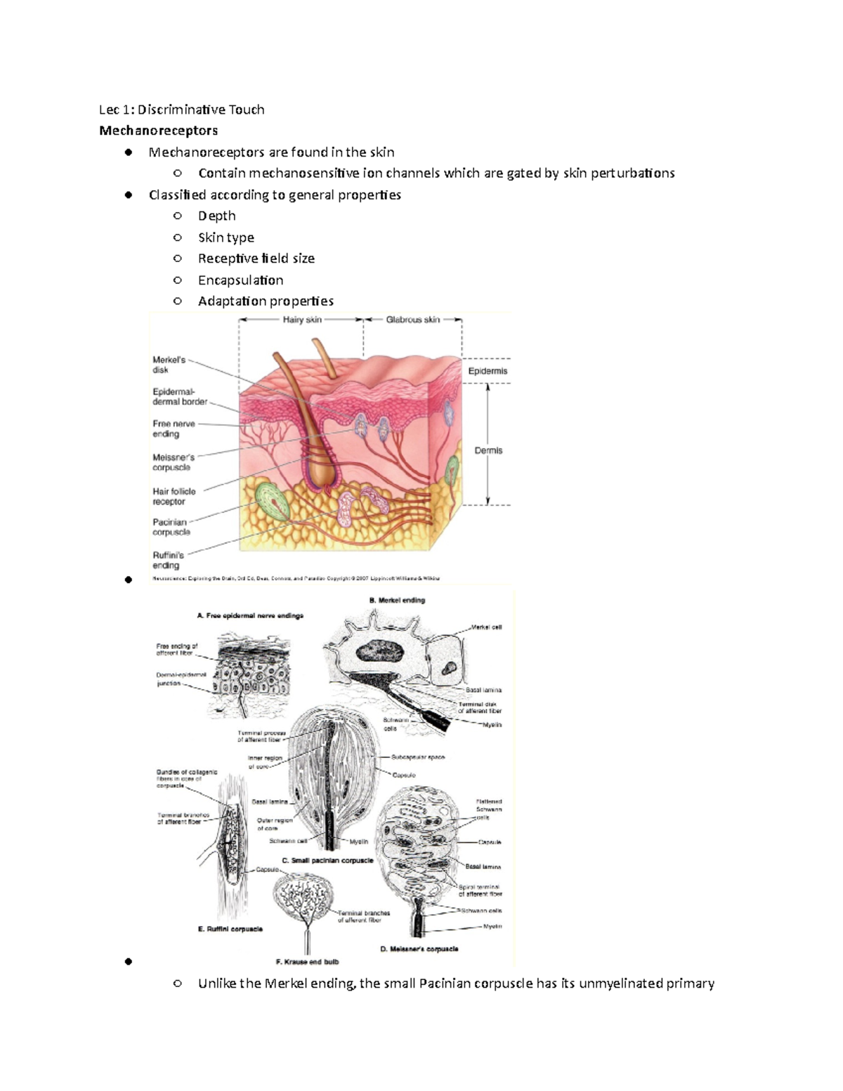 Week 5. Physical Feelings - NEUR3005 - USyd - Studocu