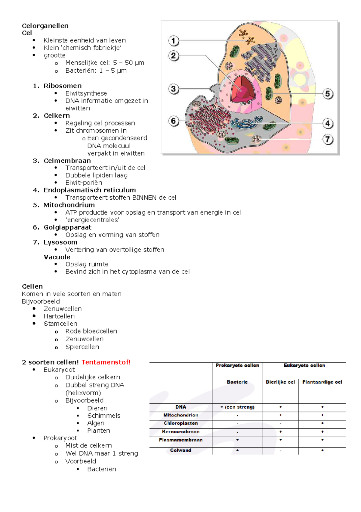 Forensisch DNA onderzoek - Samenvatting - Samengevat - Celorganellen ...