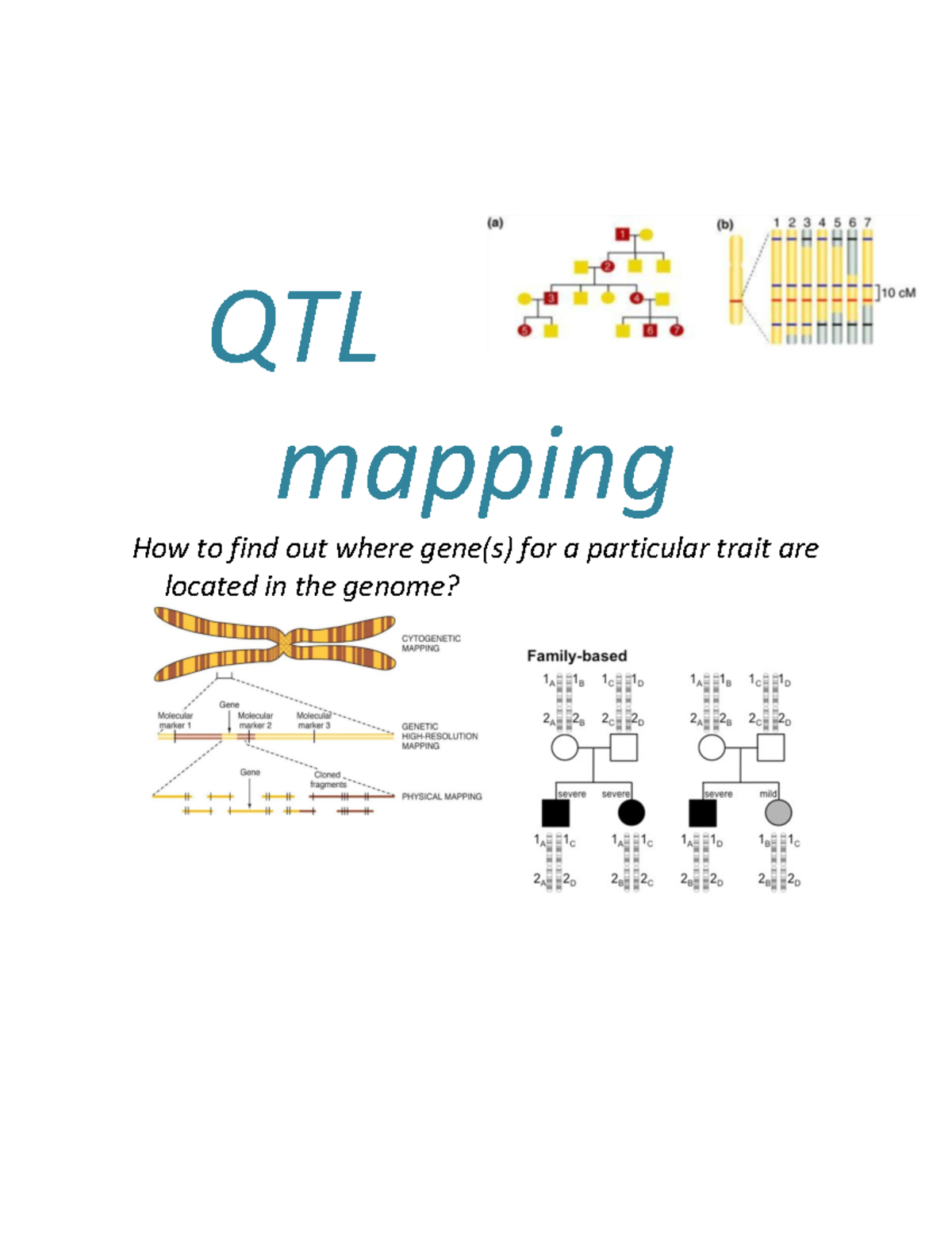4-13 QTL Mapping - Professor Agnes Southgate - QTL mapping How to find ...