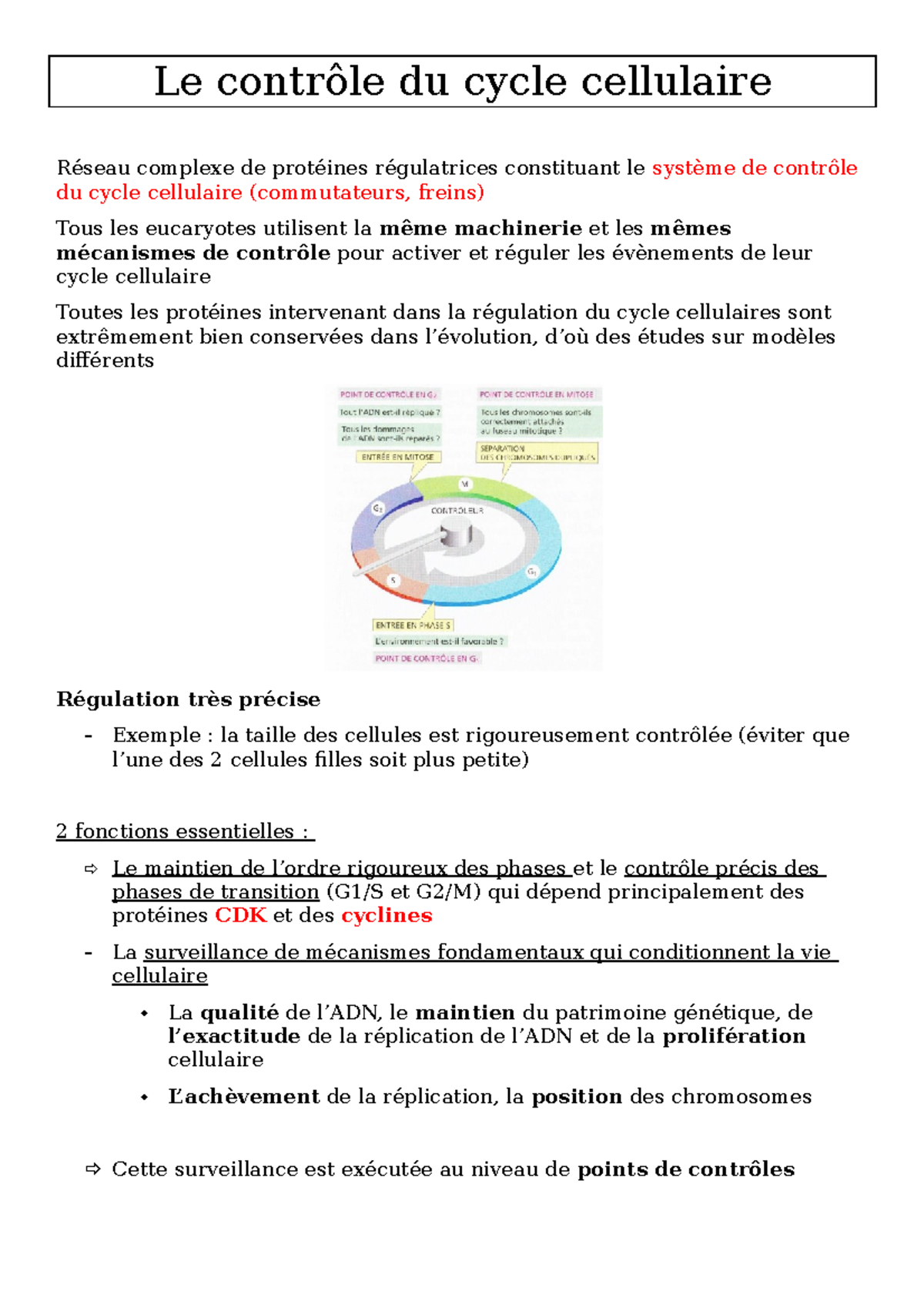 Le contrôle du cycle cellulaire - cours - Le contrôle du cycle ...
