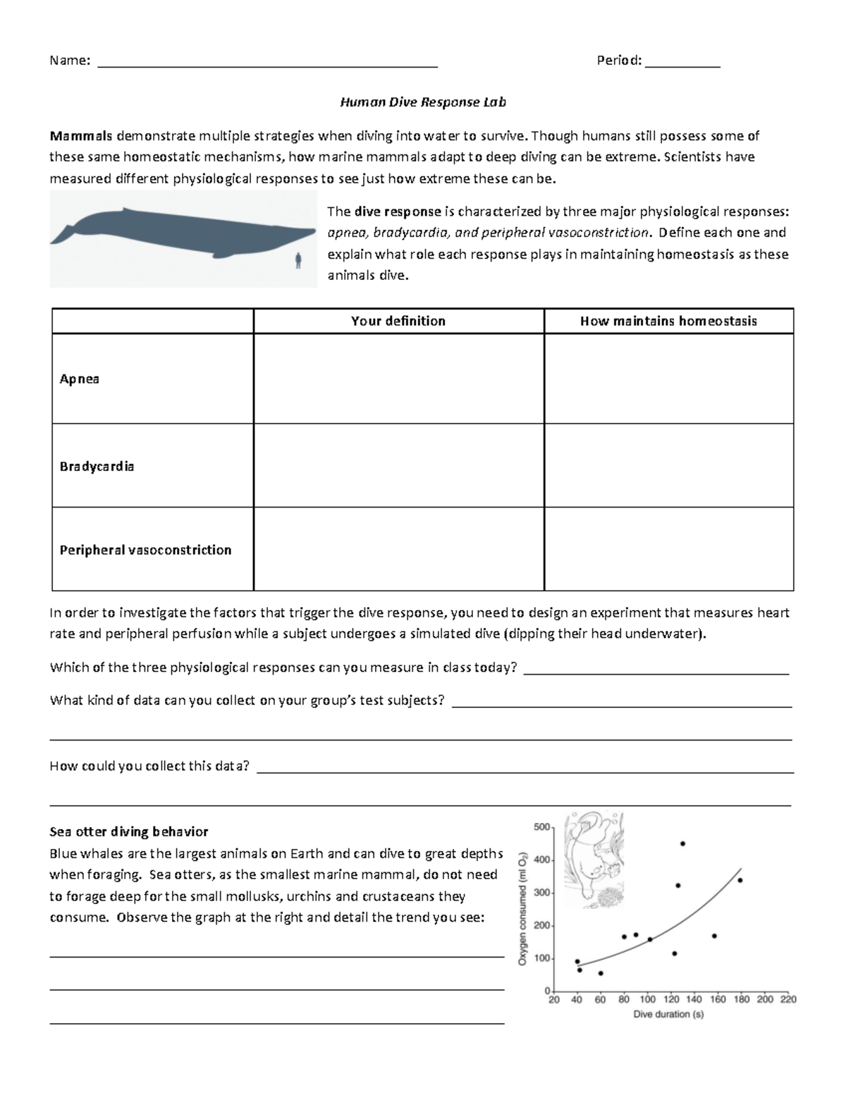 Homeostasis Human Dive Response - Human Dive Response Lab Mammals ...