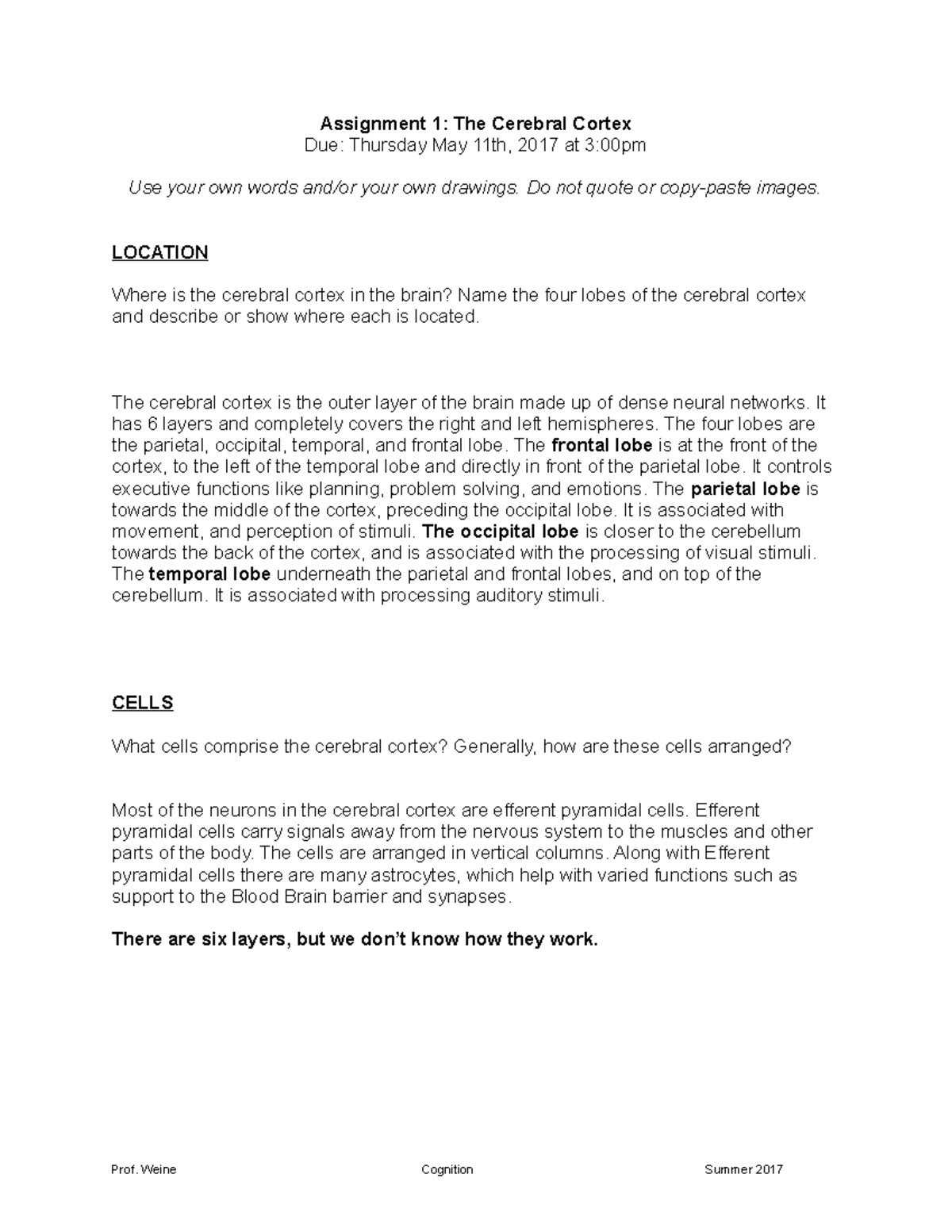 Cognition Assignment 1 - Assignment 1: The Cerebral Cortex Due ...