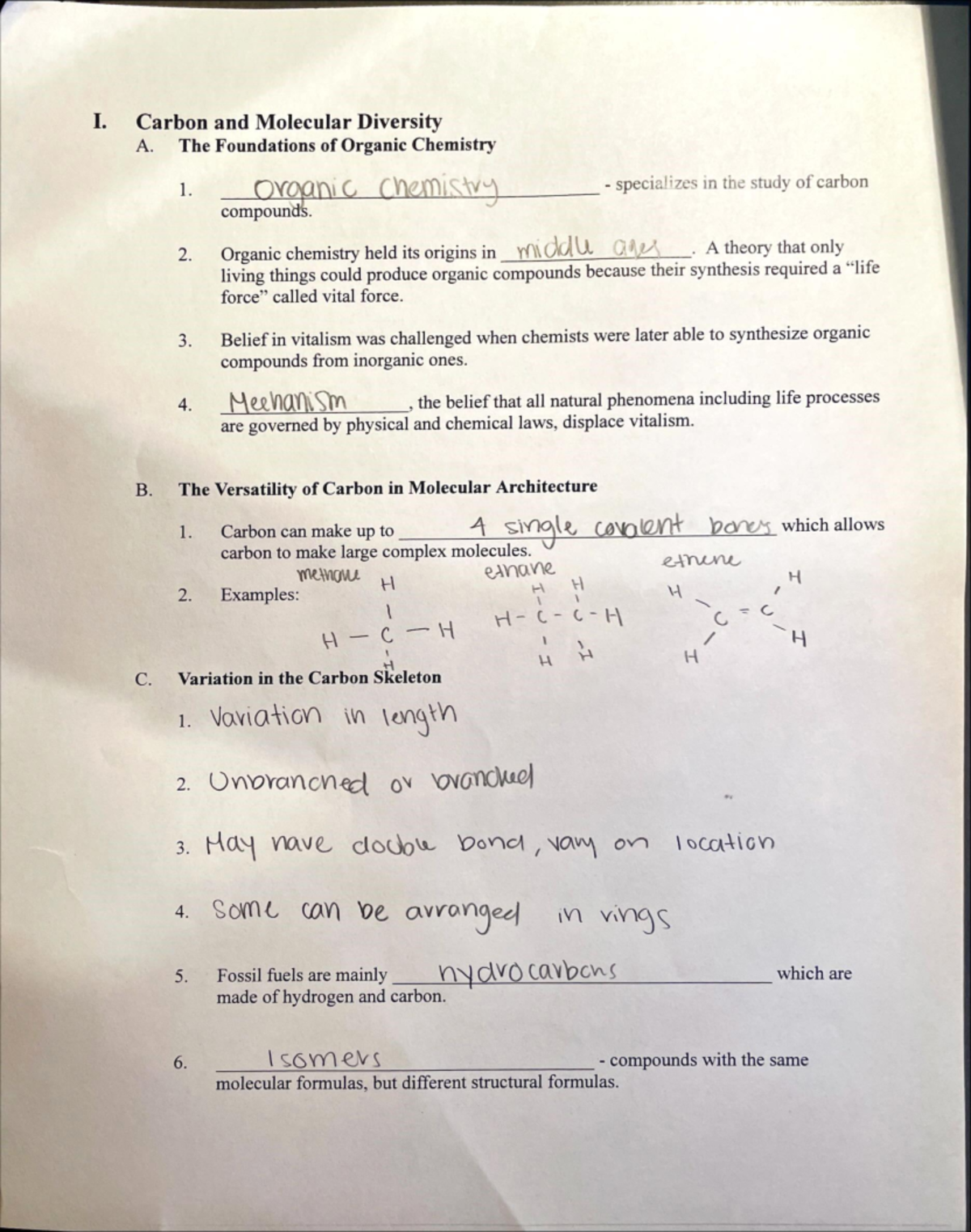 Carbon and Molecular diversity notes - I. Carbon and Molecular ...